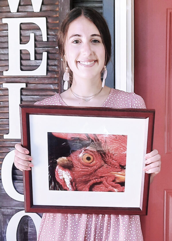 3 Valley students display artistic skill | News, Sports, Jobs - Tribune ...